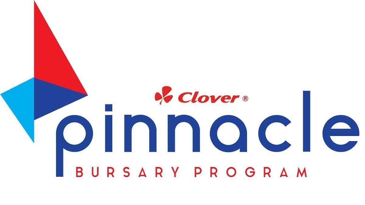 Pinnacle: Bursary Programme 2025