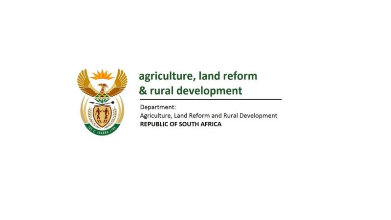 DLRRD: Bursary Programme 2026